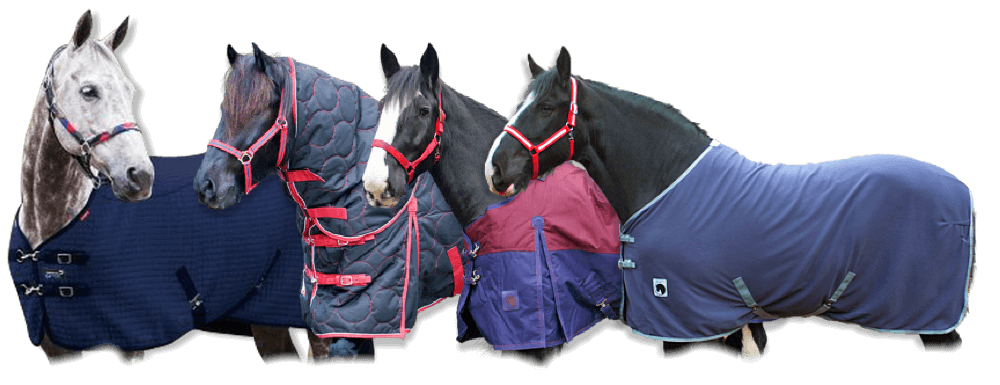 Equine Rug Wash - The Saddle Barn